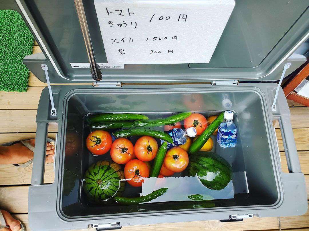 穴場|千葉】山奥にある棚田の段差を活用した Bonfire base フリーサイト】-キャンプ予約は【ExCAMP】