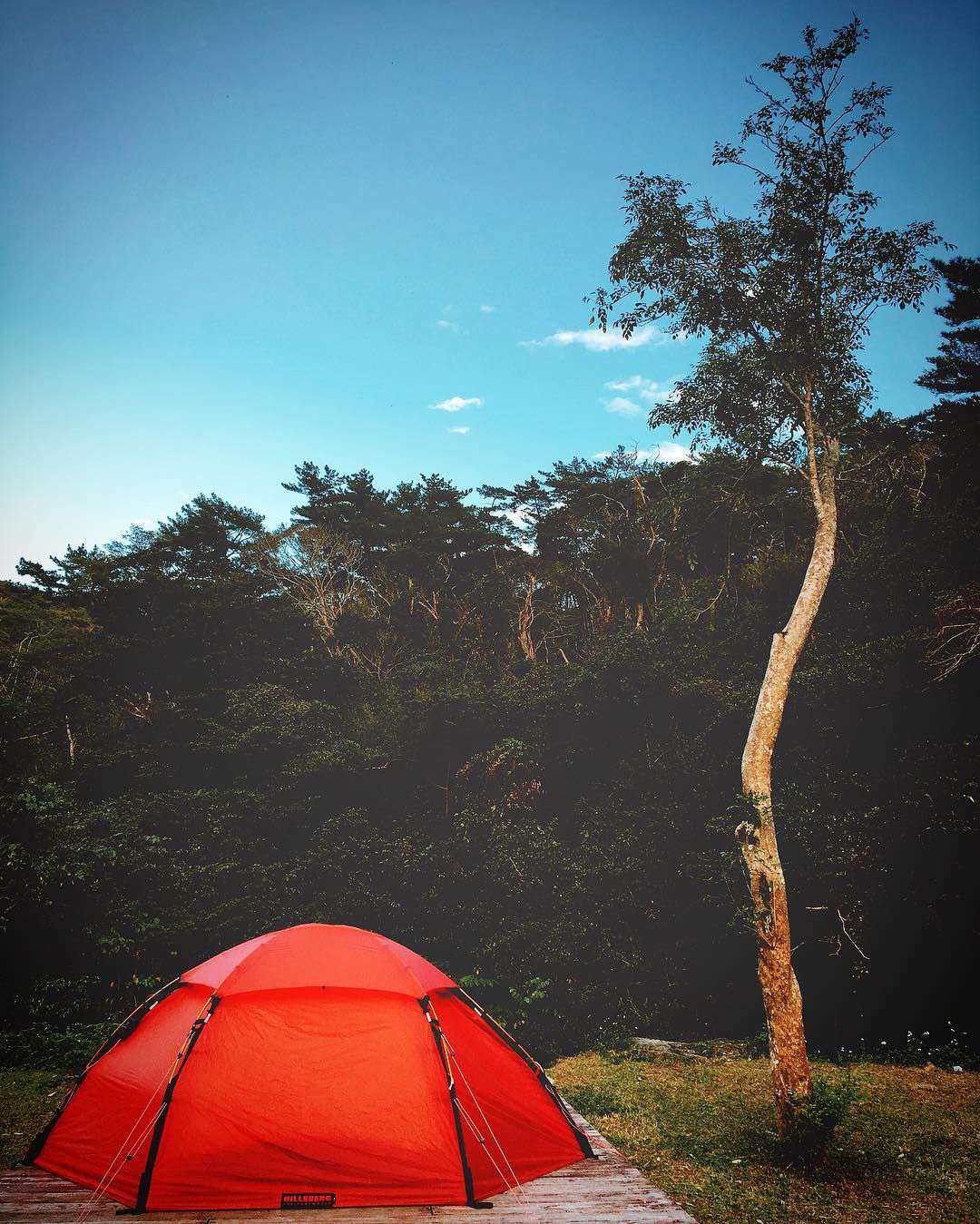 【比地大滝キャンプ場】-キャンプ予約は【ExCAMP】